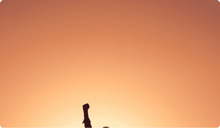 Identify and use your talents